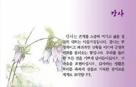 ecovalue - 가치성장카드 구성과 내용